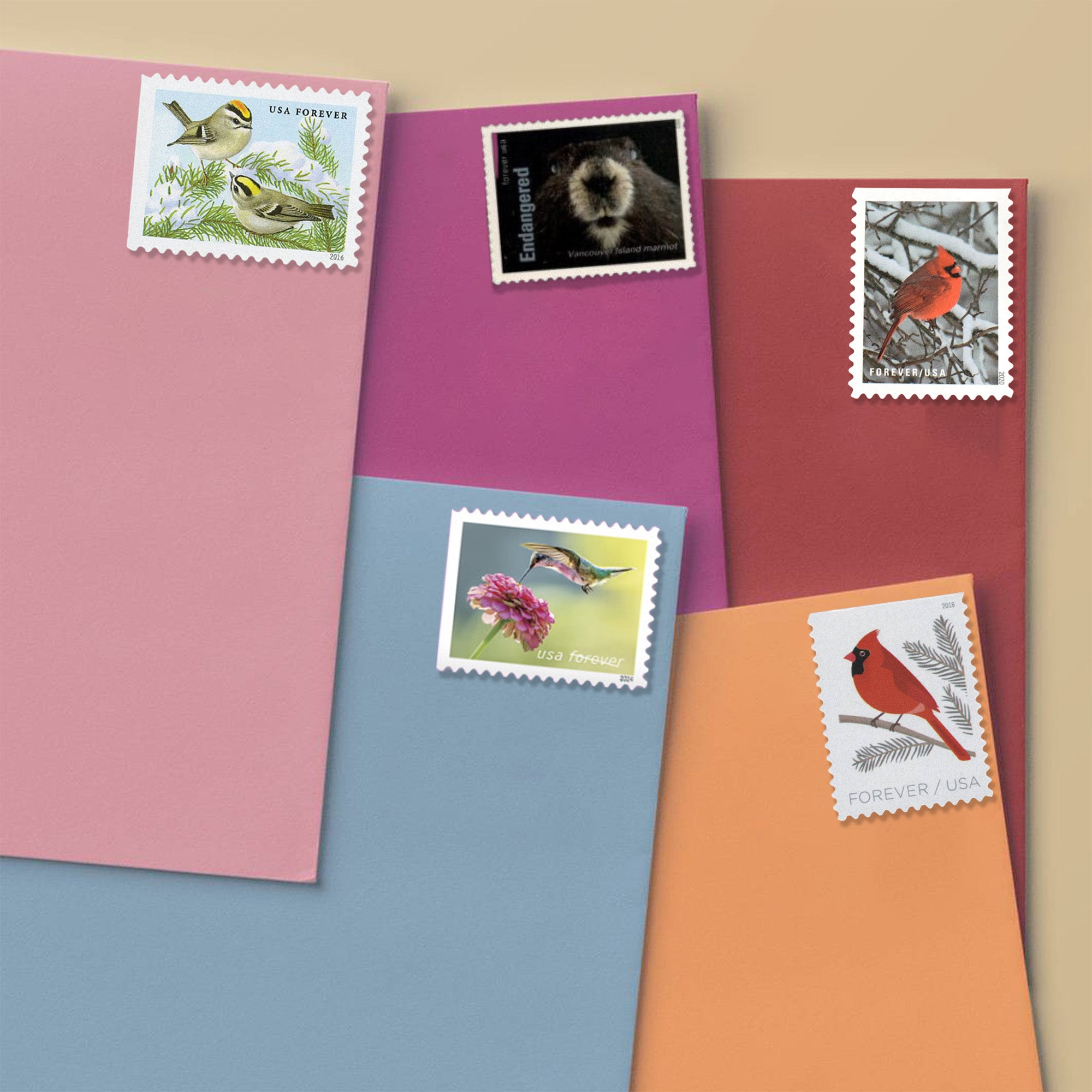 BIRDS BUNDLE – USTAMPS